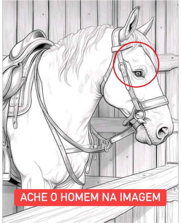 Desafio Visual: Ache o Homem na Imagem - Gênio Quiz: Jogos, Testes e ...